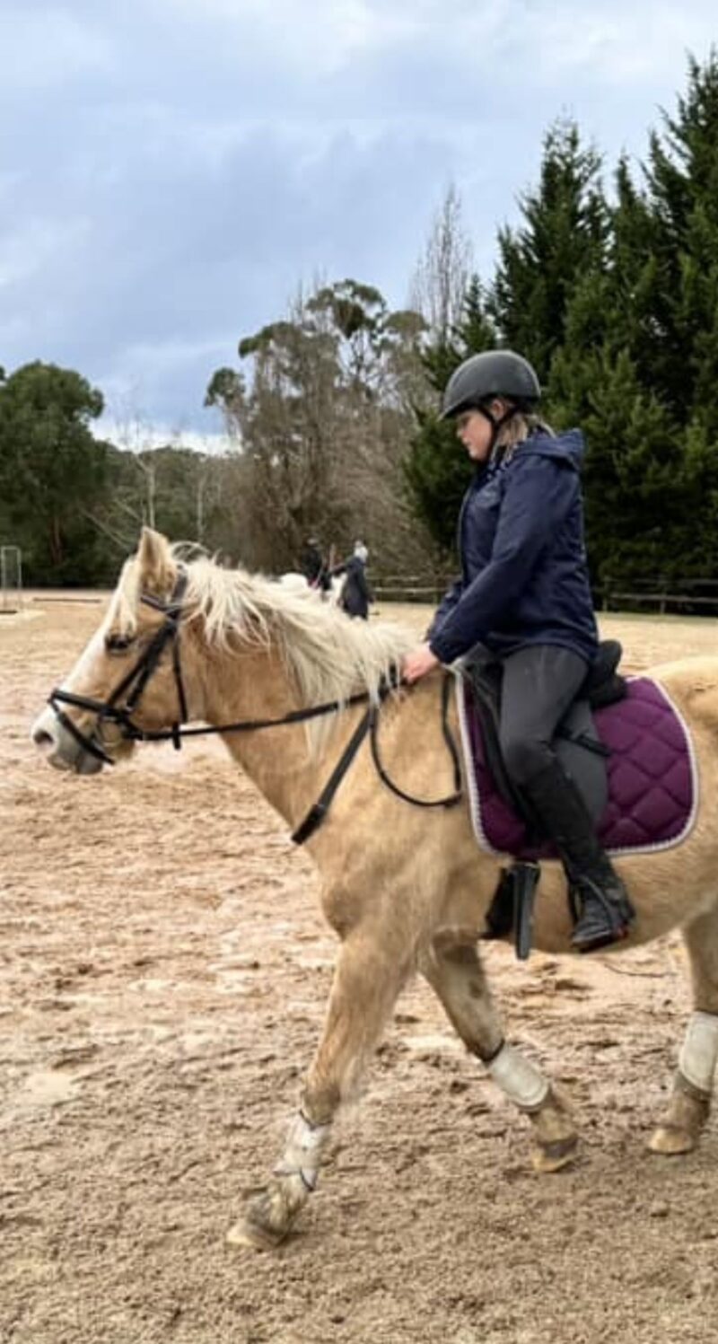 Committee – Mount Evelyn Pony Club