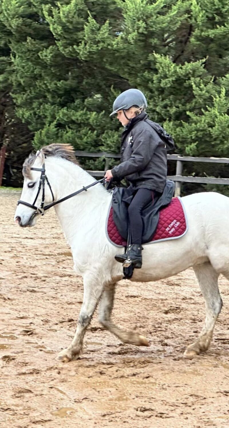 Membership – Mount Evelyn Pony Club
